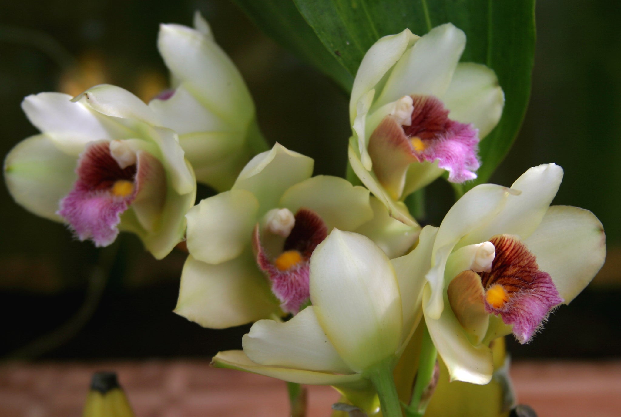 Products – Page 4 – Cape Oasis